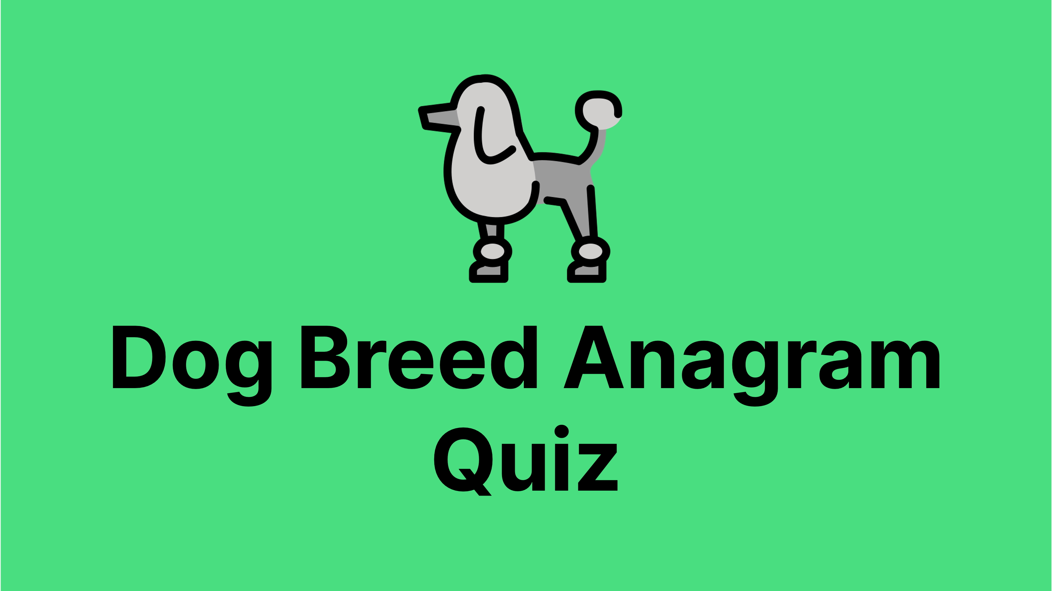 Dog Breed Anagram Quiz - Word Checker